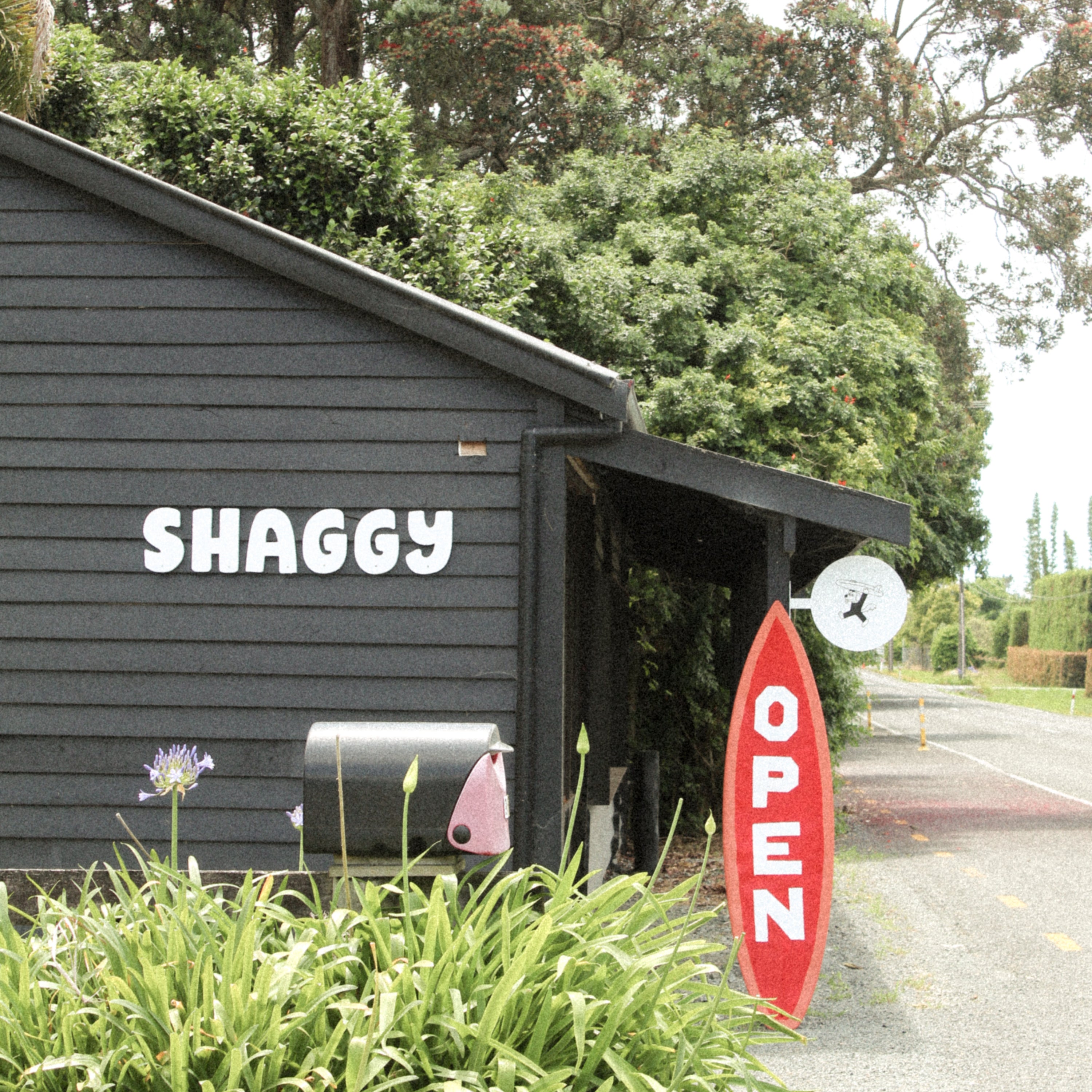 FLAGSHIP STORE – Shaggy