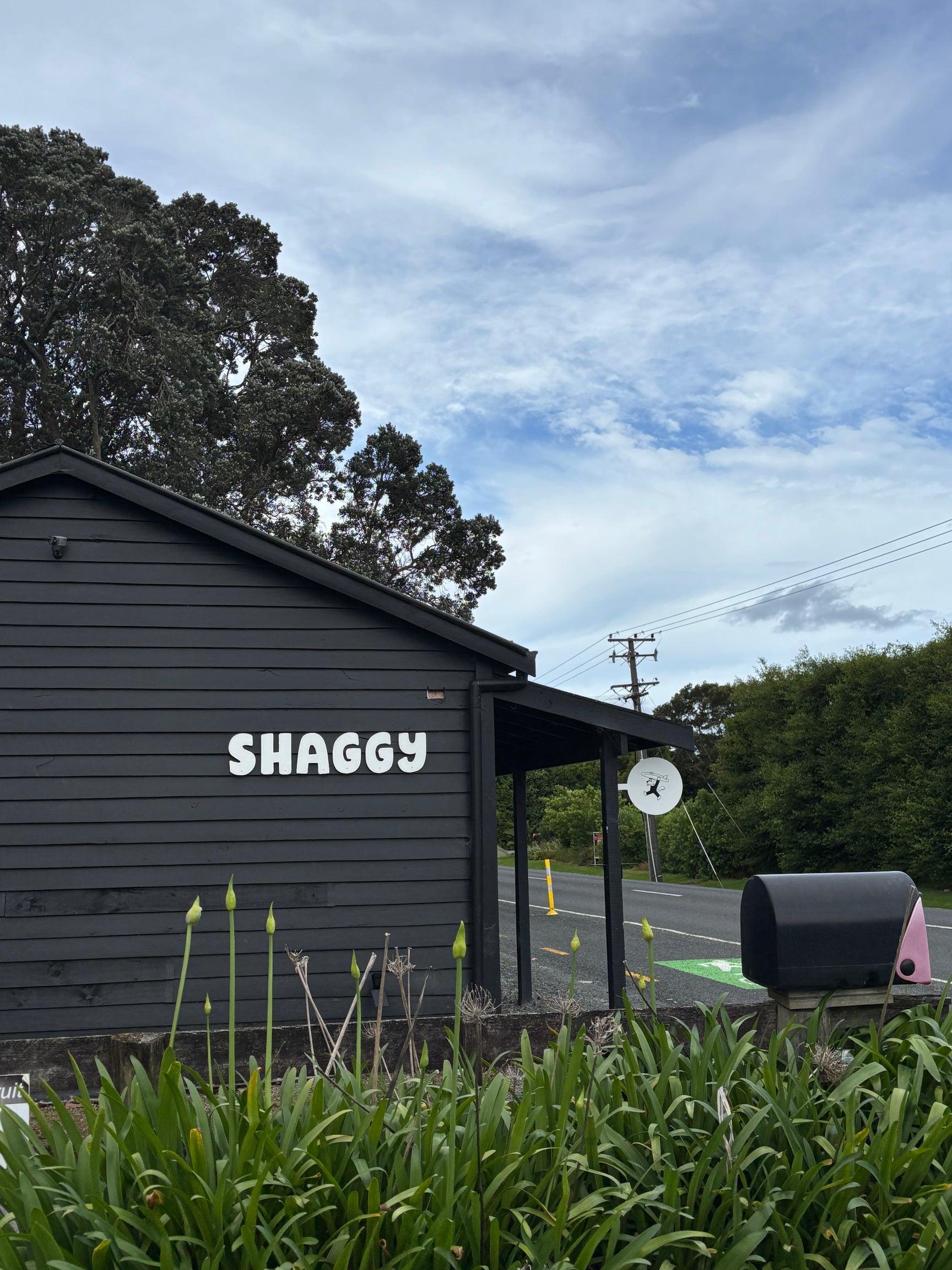 FLAGSHIP STORE – Shaggy